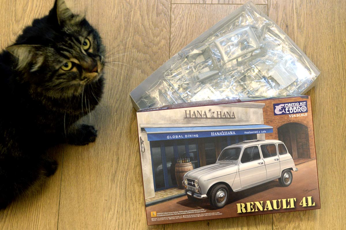 Ram's RENAULT 4 - My R4 Models